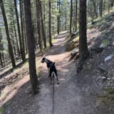 Eagle's View Trail Loop, Colorado - 3,280 Reviews, Map | AllTrails