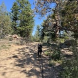 Eagle's View Trail Loop, Colorado - 3,280 Reviews, Map | AllTrails