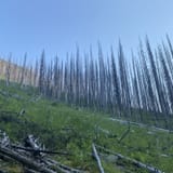 The Rockwall, British Columbia, Canada - 310 Reviews, Map | AllTrails