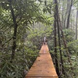 Trace Ridge Trail, Spencer Gap, and Fletcher Creek Loop, North Carolina ...