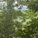 Trace Ridge Trail, Spencer Gap, and Fletcher Creek Loop, North Carolina ...