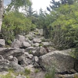 Wilburn Ridge via Appalachian Trail, Virginia - 2,222 Reviews, Map ...