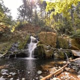 Little Mashel Falls Trail via Bud Blancher Trail, Washington - 4,108 ...