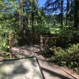 Tradition Lake Loop Trail, Washington - 1,643 Reviews, Map | AllTrails