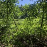 Tradition Lake Loop Trail, Washington - 1,643 Reviews, Map | AllTrails