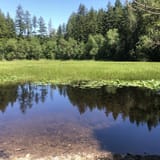 Tradition Lake Loop Trail, Washington - 1,643 Reviews, Map | AllTrails