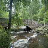 Sycamore Trail Loop, North Carolina - 1,800 Reviews, Map | AllTrails
