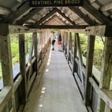 The Flume Gorge Trail, New Hampshire - 4,851 Reviews, Map | AllTrails