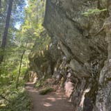 Silver Falls Loop, Washington - 3,513 Reviews, Map | AllTrails