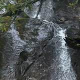 Trace Ridge Trail, Spencer Gap, and Fletcher Creek Loop, North Carolina ...