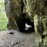 Maquoketa Caves Loop, Iowa - 1,119 Reviews, Map | AllTrails
