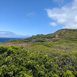 ʻŌhai Trail Loop, Maui, Hawaii - 876 Reviews, Map | AllTrails
