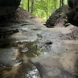 Turkey Run Outer Loop, Indiana - 632 Reviews, Map | AllTrails