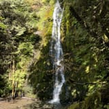 Madison Falls Trail, Washington - 1,914 Reviews, Map | AllTrails