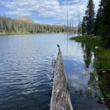 Haystack Lake Trail, Utah - 130 Reviews, Map | AllTrails