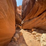 Wire Pass Trail, Utah - 3,097 Reviews, Map | AllTrails