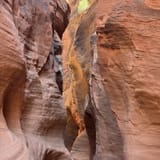 Wire Pass Trail, Utah - 3,097 Reviews, Map | AllTrails