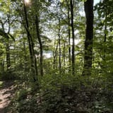 Abraham Lincoln Park White Trail, New York - 1,716 Reviews, Map | AllTrails