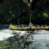 West Metolius River Trail, Oregon - 745 Reviews, Map | AllTrails