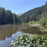Two Lakes Trail, Alaska - 571 Reviews, Map | AllTrails