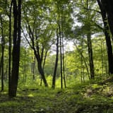 Parnell Tower Trail, Wisconsin - 857 Reviews, Map | AllTrails