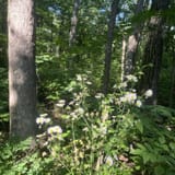 Parnell Tower Trail, Wisconsin - 857 Reviews, Map | AllTrails