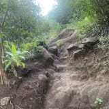 Waimano Falls Trail, Oahu, Hawaii - 5,272 Reviews, Map | AllTrails