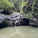 Waimano Falls Trail, Oahu, Hawaii - 5,272 Reviews, Map | AllTrails