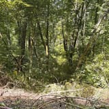 Mogadore Reservoir via Buckeye Trail, Ohio - 499 Reviews, Map | AllTrails