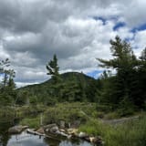 Crane Mountain Loop Hike, New York - 1,396 Reviews, Map | AllTrails