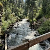 Chief Joseph Mountain Trail, Oregon - 443 Reviews, Map | AllTrails