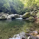 Mouse Creek Falls via Big Creek Trail, Tennessee - 3,041 Reviews, Map ...