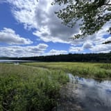 Good Luck Cliffs and West Stoner Lake Trail, New York - 724 Reviews ...