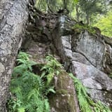 Good Luck Cliffs and West Stoner Lake Trail, New York - 724 Reviews ...