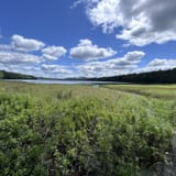 Good Luck Cliffs and West Stoner Lake Trail, New York - 724 Reviews ...