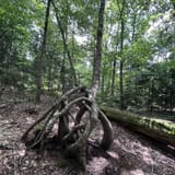 Good Luck Cliffs and West Stoner Lake Trail, New York - 724 Reviews ...