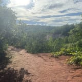 Canyon Loop Trail, Georgia - 2,433 Reviews, Map | AllTrails