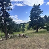 Colorow Mountain Forest and Meadow Loop Trail, Colorado - 595 Reviews ...