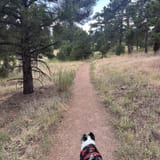 Colorow Mountain Forest and Meadow Loop Trail, Colorado - 595 Reviews ...