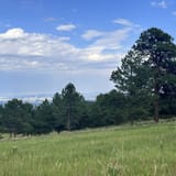 Colorow Mountain Forest and Meadow Loop Trail, Colorado - 595 Reviews ...