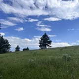 Colorow Mountain Forest and Meadow Loop Trail, Colorado - 595 Reviews ...