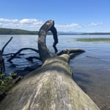 Norrie Point Trail, New York - 817 Reviews, Map | AllTrails