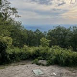 Springer Mountain, Georgia - 691 Reviews, Map | AllTrails