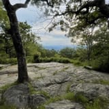 Springer Mountain, Georgia - 691 Reviews, Map | AllTrails