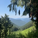 Hidden Lake Lookout, Washington - 2,051 Reviews, Map | AllTrails