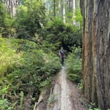 James Irvine Trail, California - 1,822 Reviews, Map | AllTrails