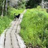Mount Watatic, Massachusetts - 1,643 Reviews, Map | AllTrails