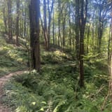 Washington Park Loop, Oregon - 1,826 Reviews, Map | AllTrails