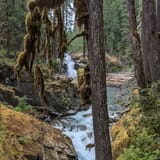 Silver Falls Loop, Washington - 3,513 Reviews, Map | AllTrails