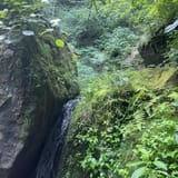 Cave River Valley Trail, Indiana - 206 Reviews, Map | AllTrails